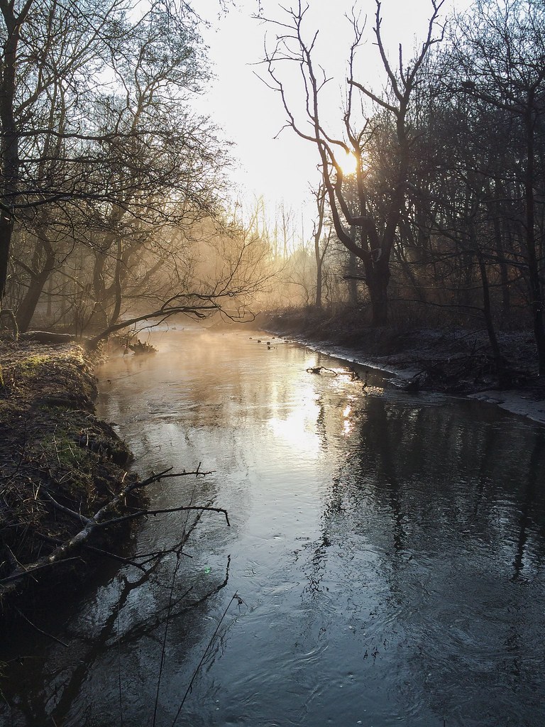 The River Douglas: From Vikings to Civil War and Ship Wrecks to Days ...